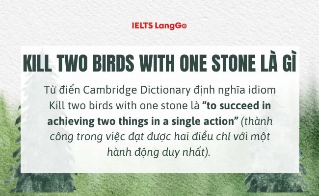 Kill two birds with one stone: Ý nghĩa, nguồn gốc, cách dùng