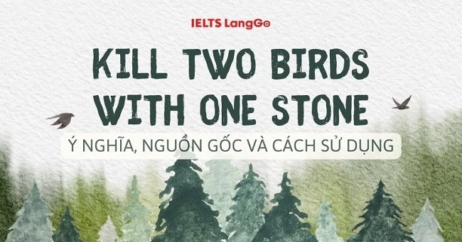 Kill two birds with one stone: Ý nghĩa, nguồn gốc, cách dùng
